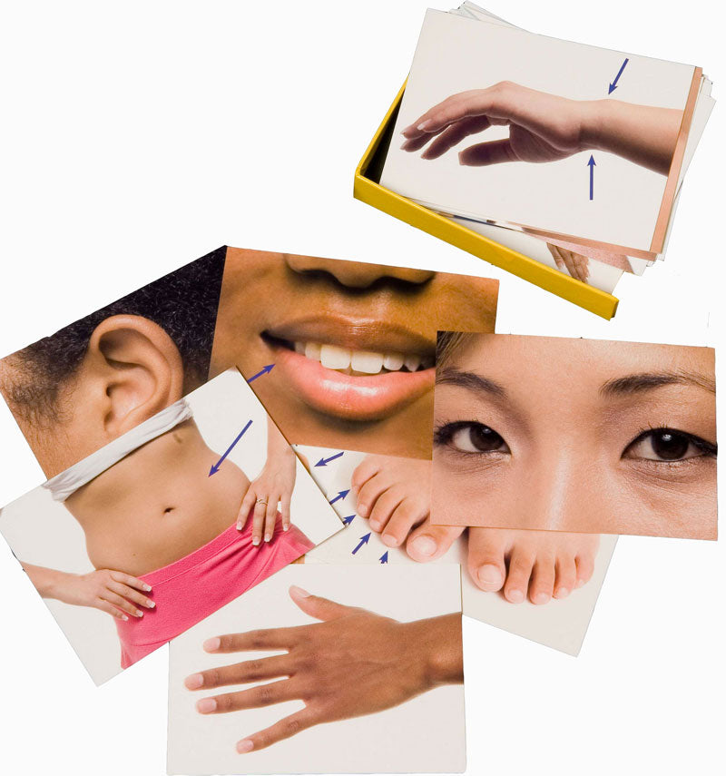 Lang-o-Learn Body Parts Flash Cards
